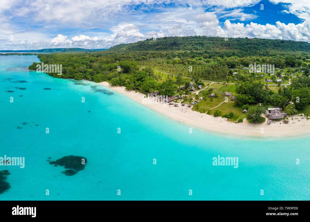 Amazing Port Orly sandy beach with palm trees, Espiritu Santo Island ...