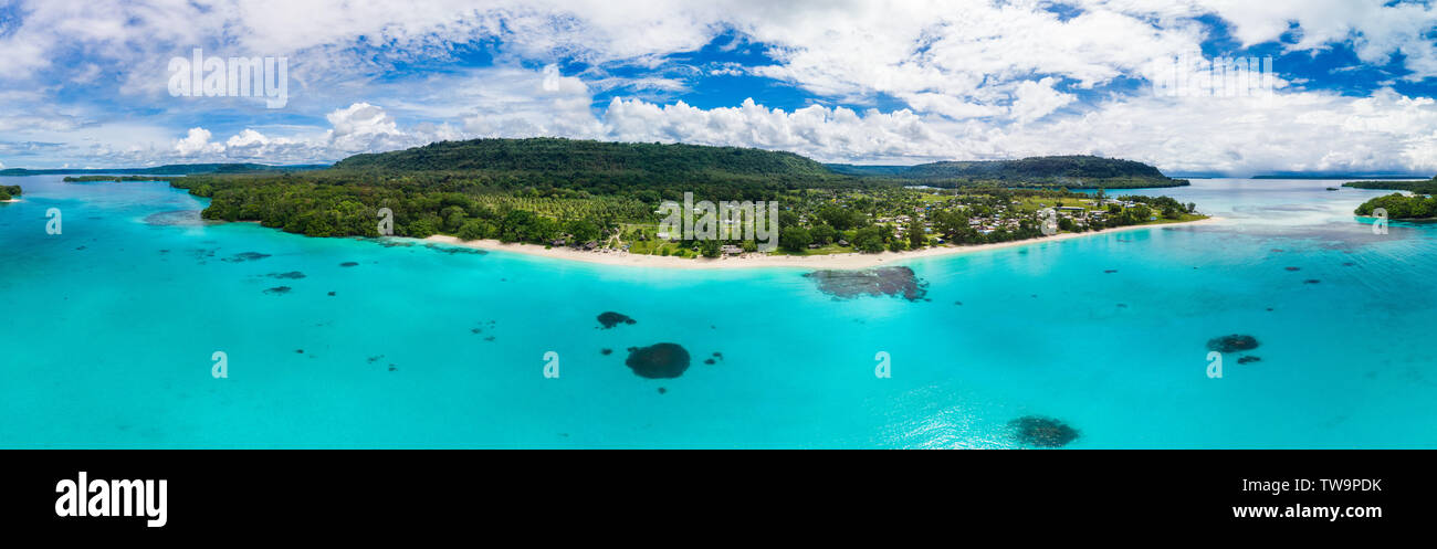 Amazing Port Orly sandy beach with palm trees, Espiritu Santo Island ...