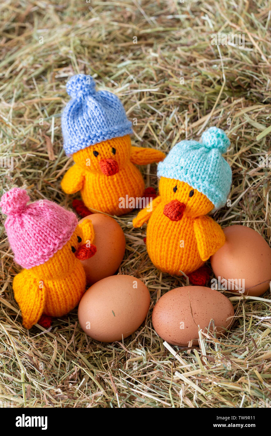Knitted chicken chicks toy with hats on and eggs. With a meadow hay ...