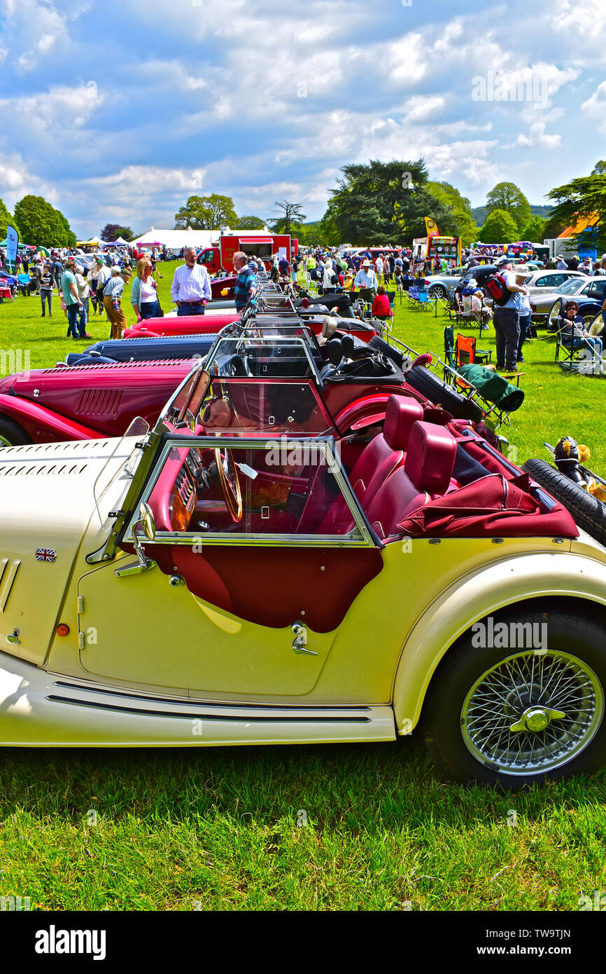 A line of classic Morgan open-topped sports cars.One of few remaining ...