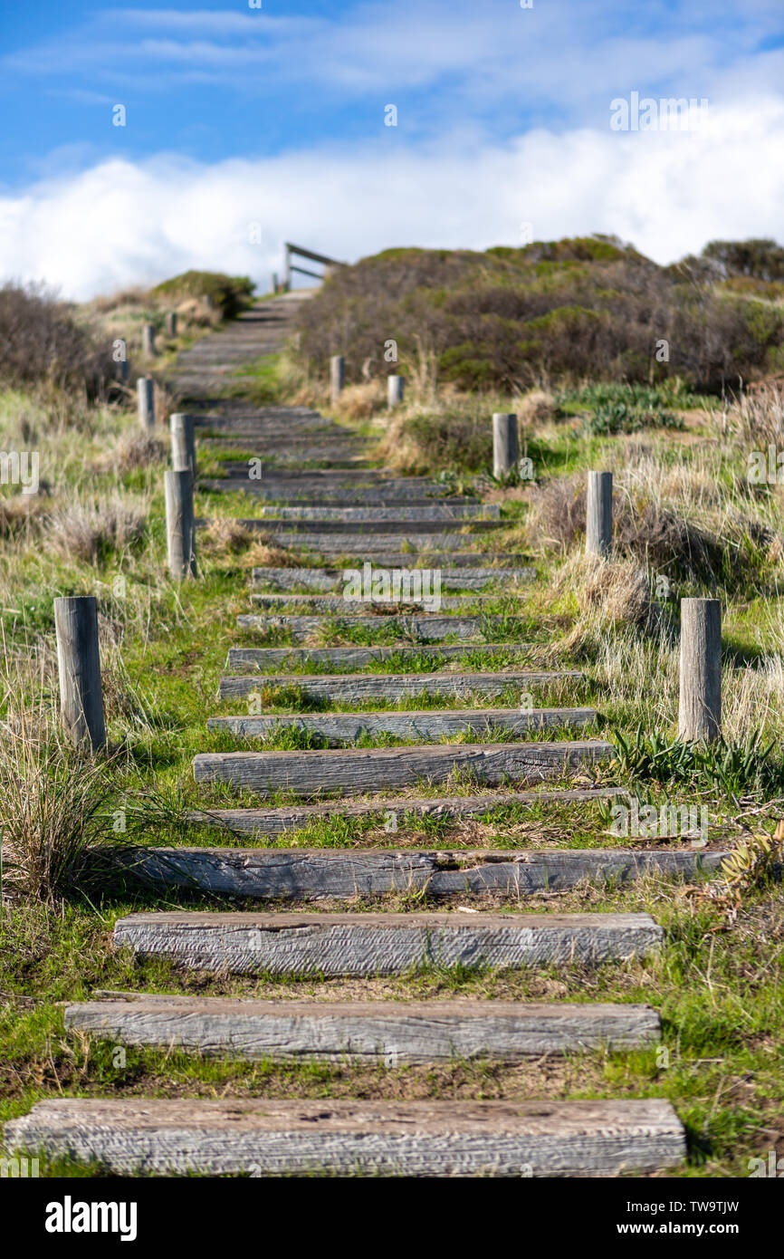 Boulders beach boardwalk hi-res stock photography and images - Alamy