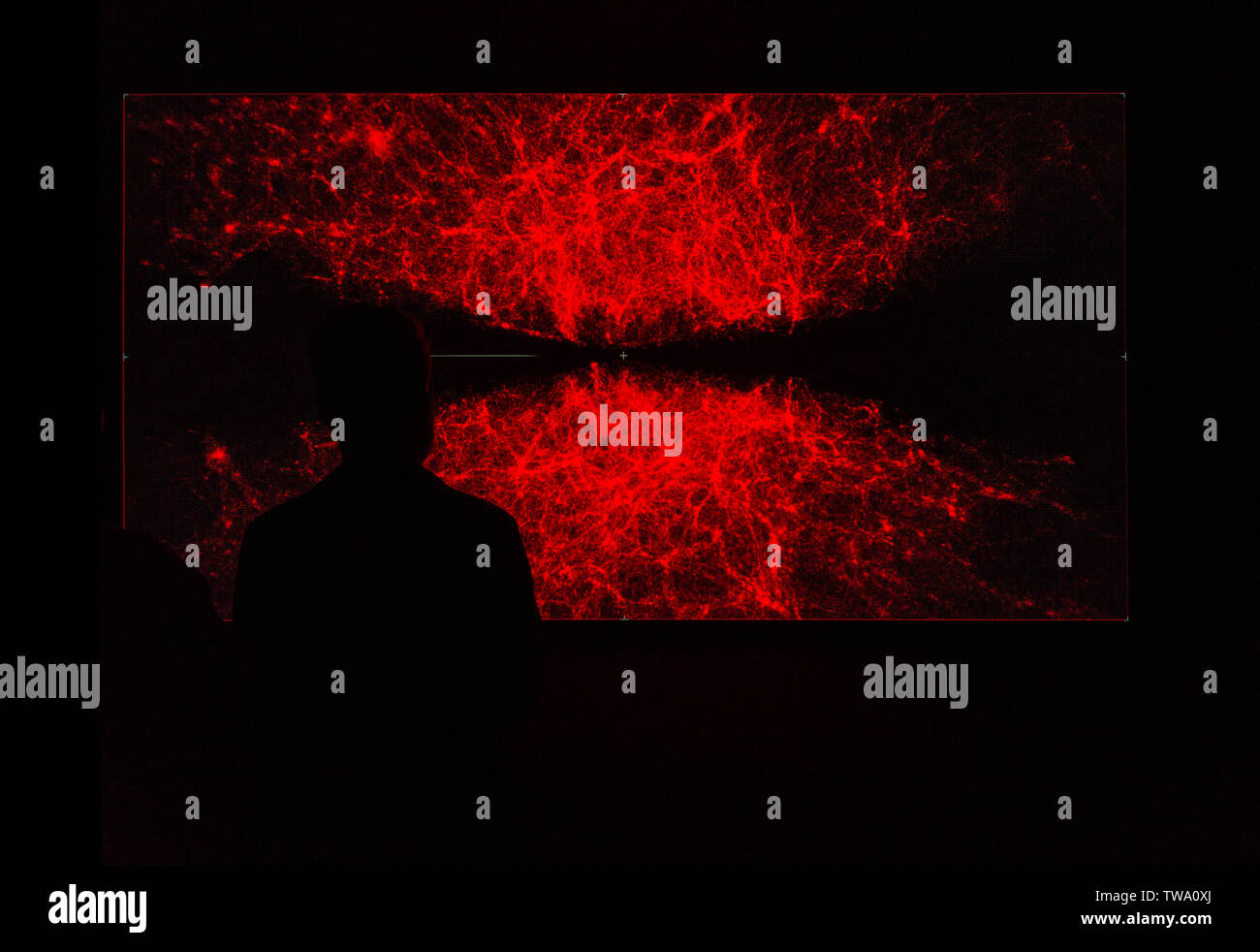Installation Art Electronic High Resolution Stock Photography and ...