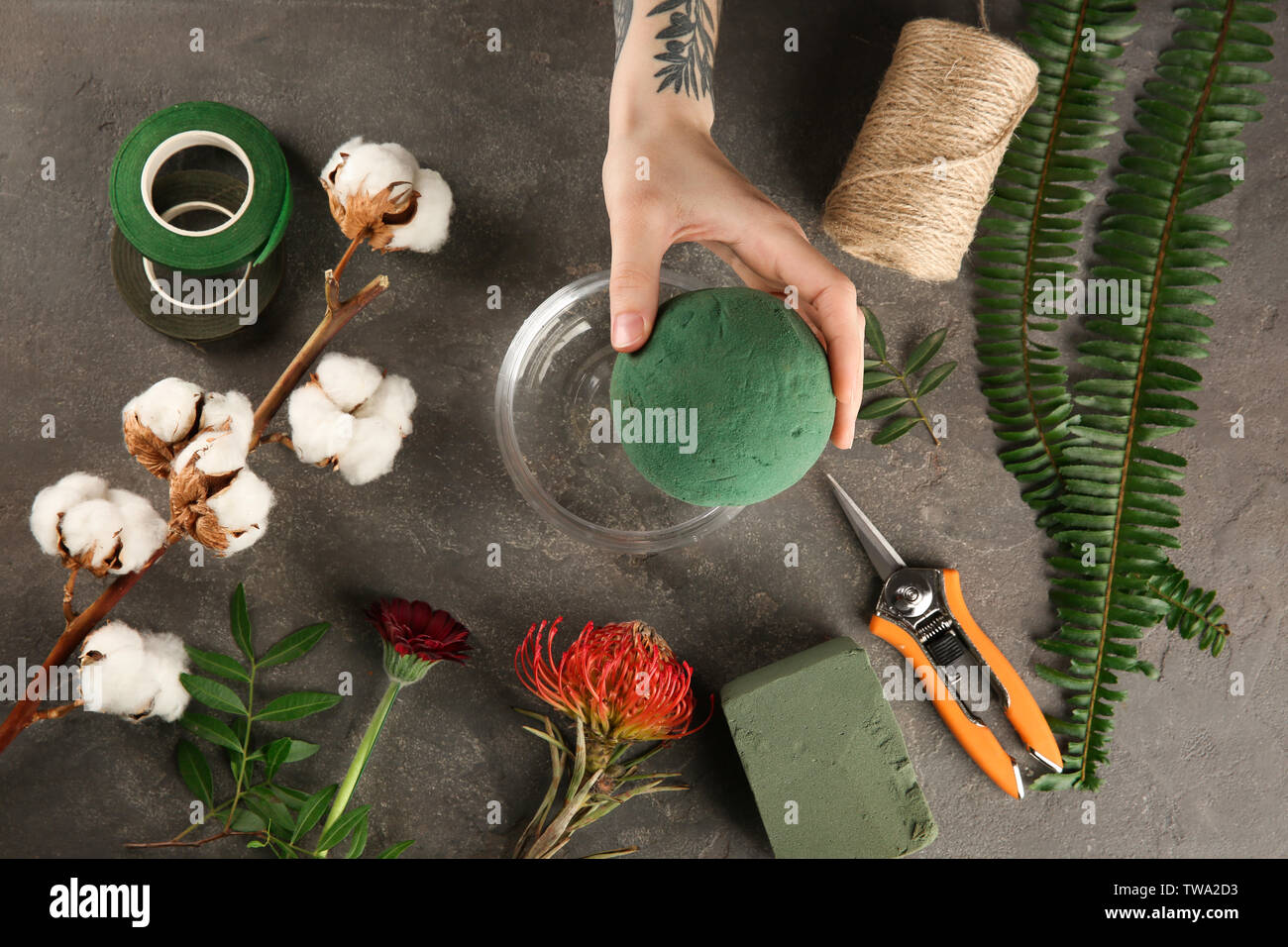 Female florist using sponge for work on grey background Stock Photo - Alamy