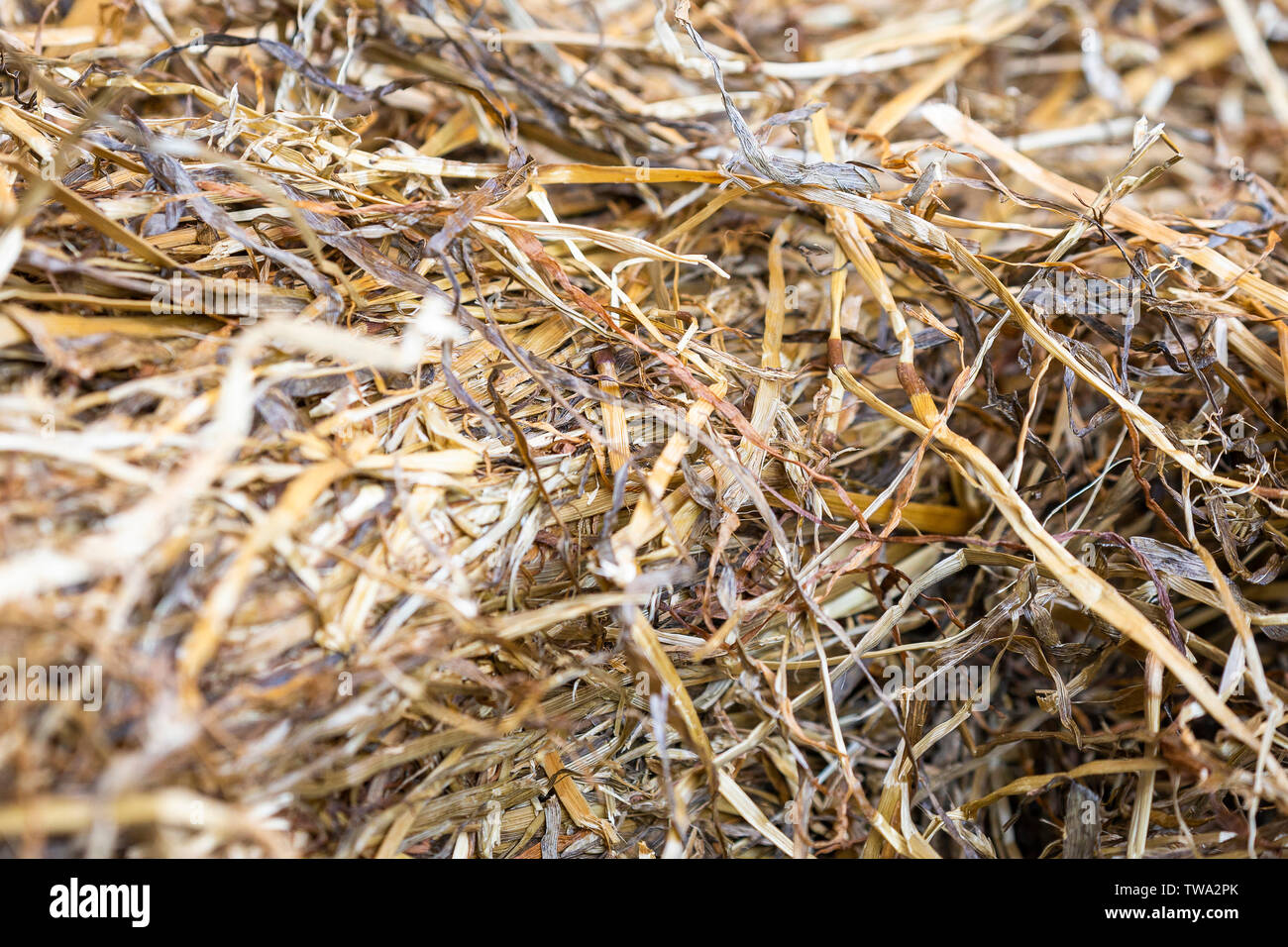 Hay and haylage hi-res stock photography and images - Alamy