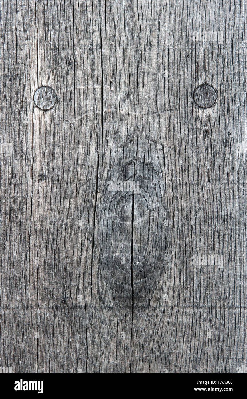 A Weathered Plank Of Wood With Two Pegs And A Knot Forming The Face Of ...