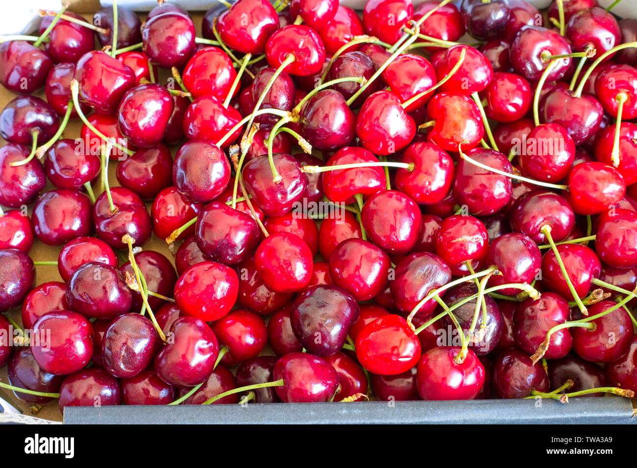 Van Cherry High Resolution Stock Photography and Images - Alamy