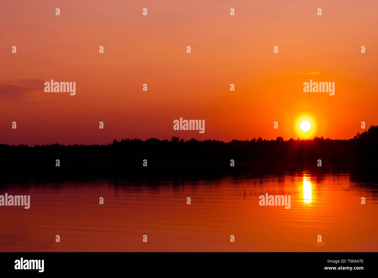 Sunset sky background. Dramatic gold sunset sky with evening sky clouds ...
