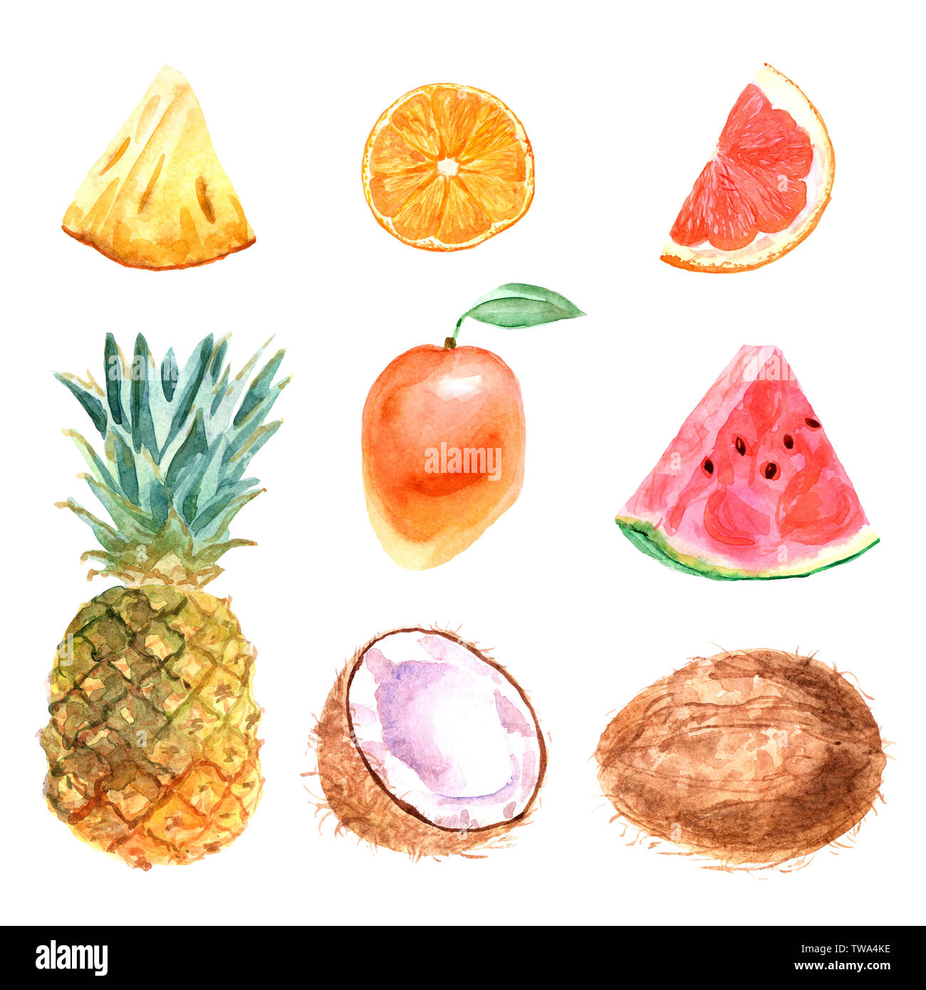 Watercolor tropical set of fruits isolated on a white background Stock ...