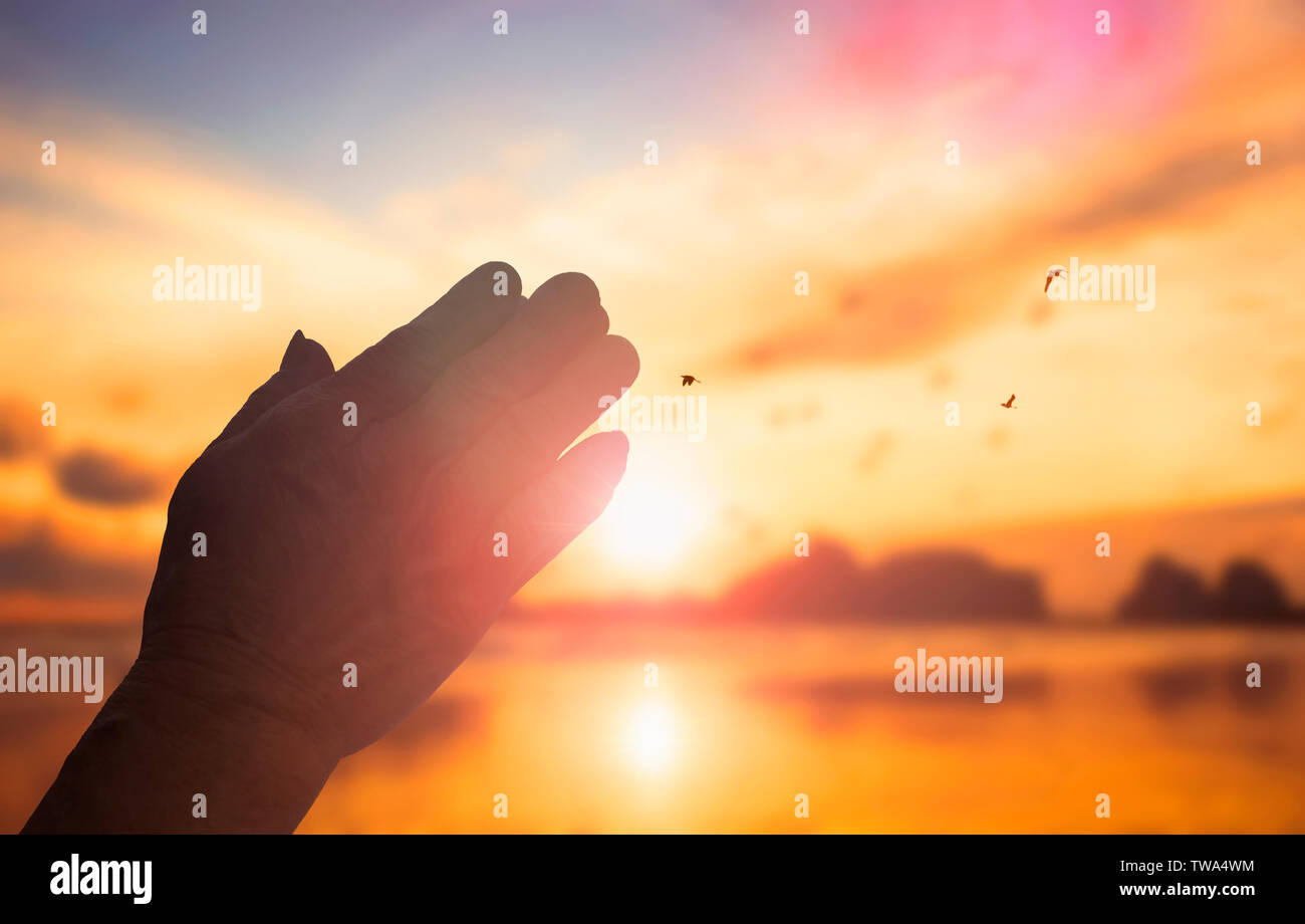 The hand of Christ Jesus Stock Photo - Alamy