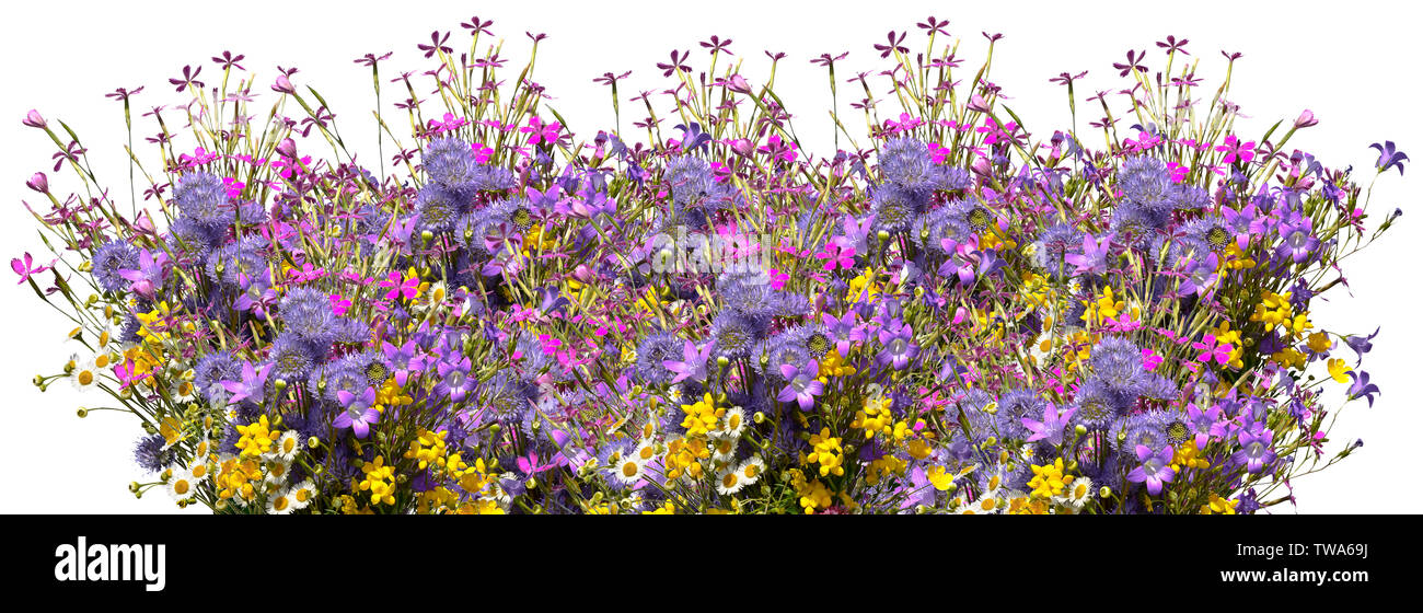 Bouquets of flowers in row isolated on white Stock Photo - Alamy