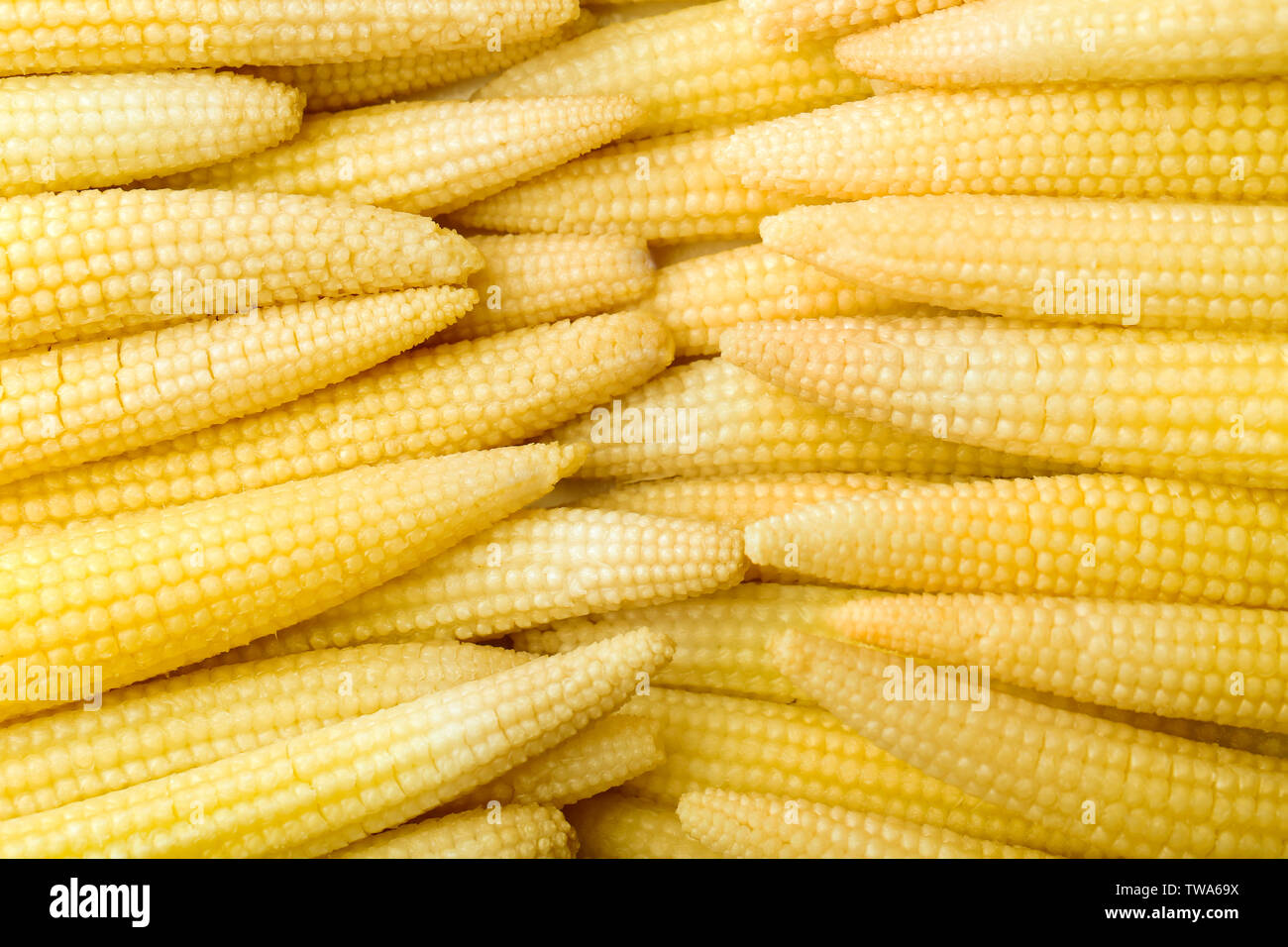 Fresh young baby corn as background Stock Photo - Alamy