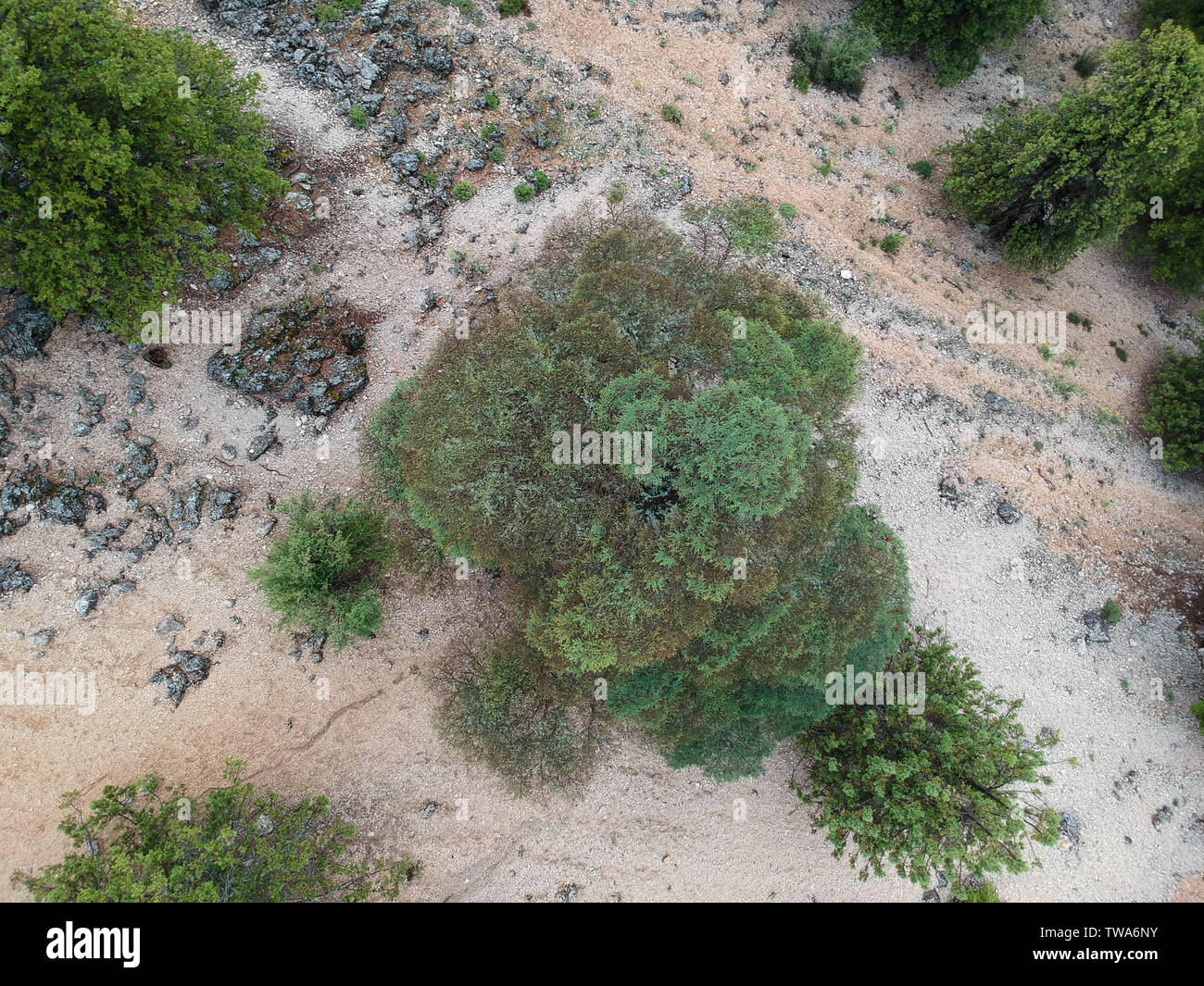 Top down background hi-res stock photography and images - Alamy