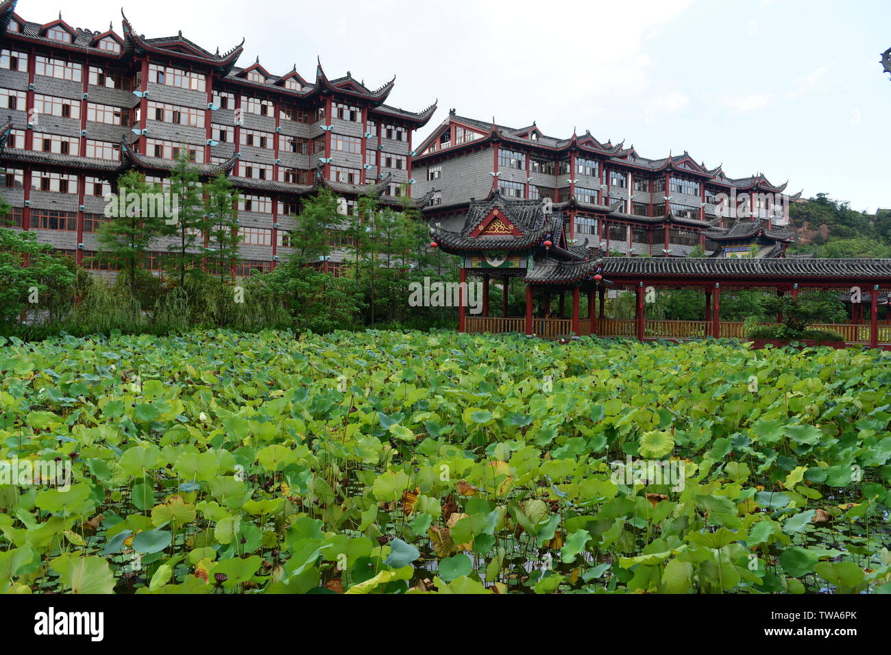 Antique architecture and lotus pavilion lotus Stock Photo - Alamy