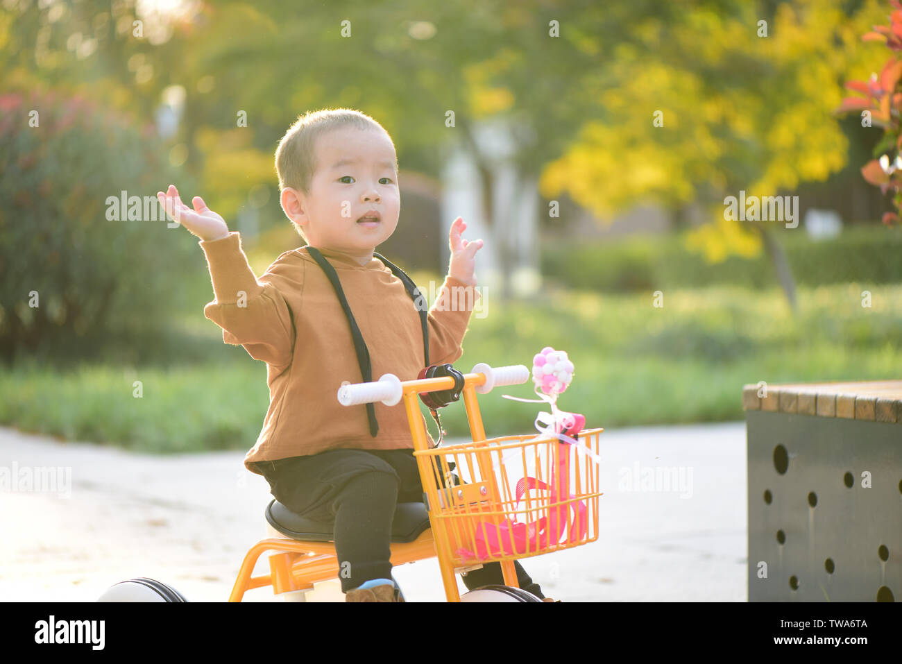 Little boy riding a tricycle Stock Photo - Alamy