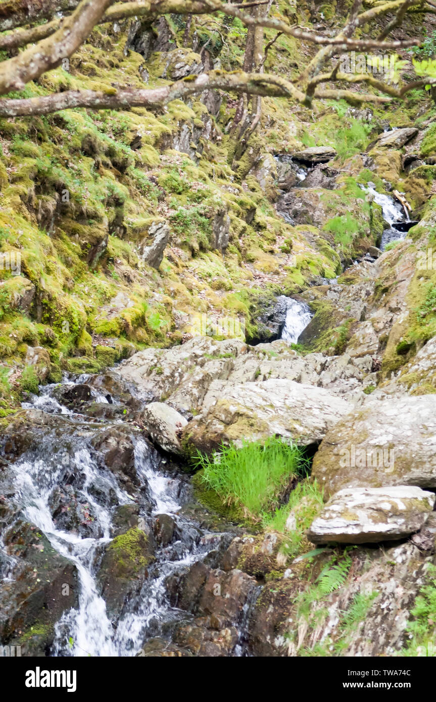 Small waterfall cascading lake hi-res stock photography and images - Alamy