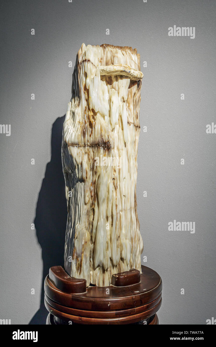 Silicized wood paleontology hi-res stock photography and images - Alamy