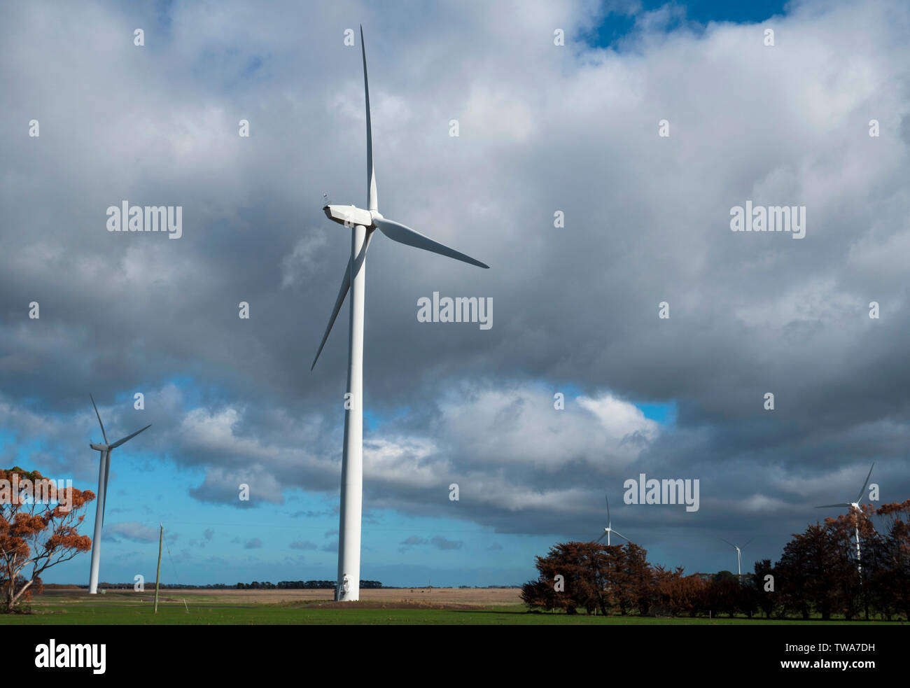 Wind turbine farm producing renewable electricity energy in Central ...
