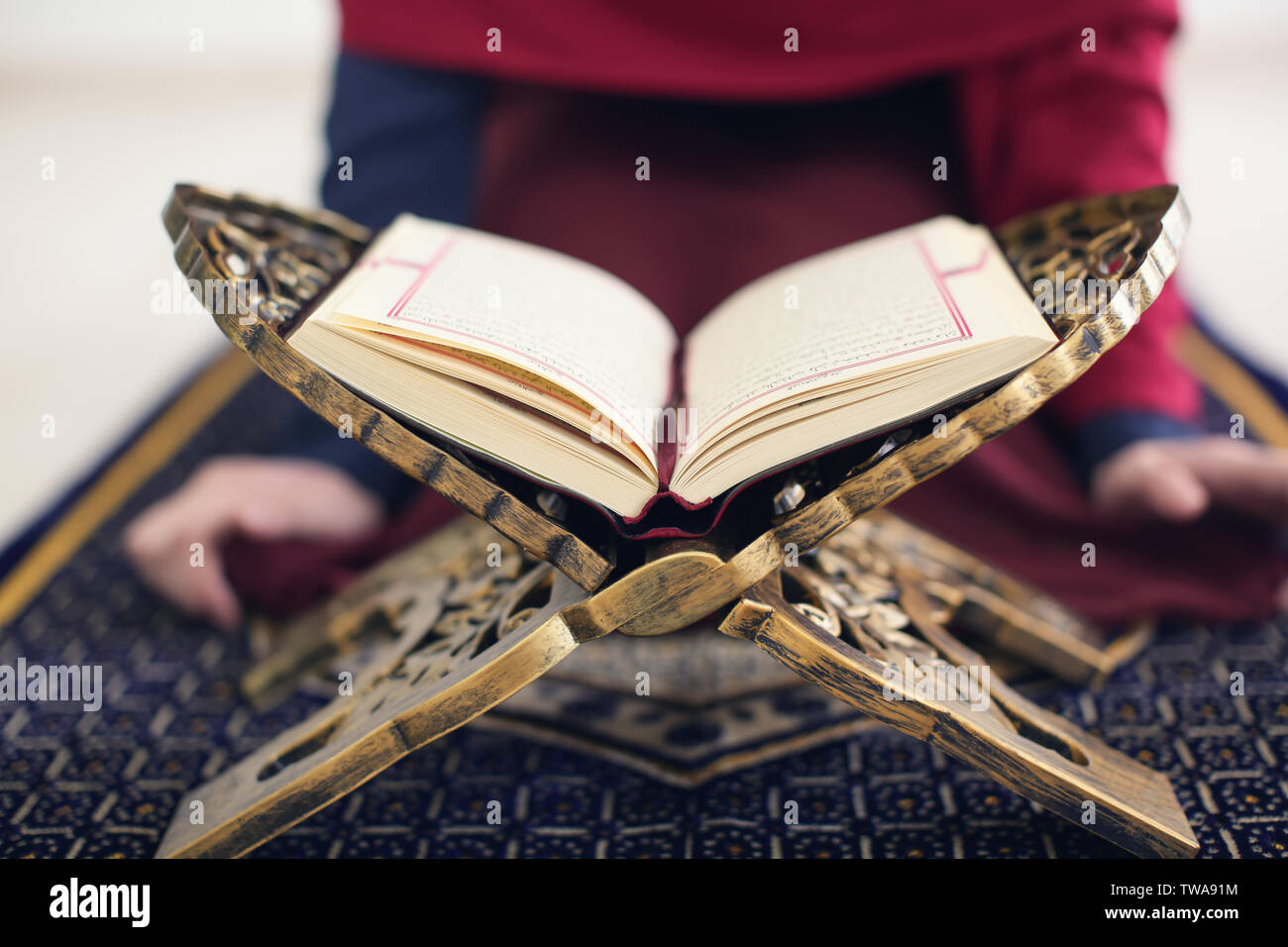 Muslim woman reading Koran, indoors Stock Photo - Alamy