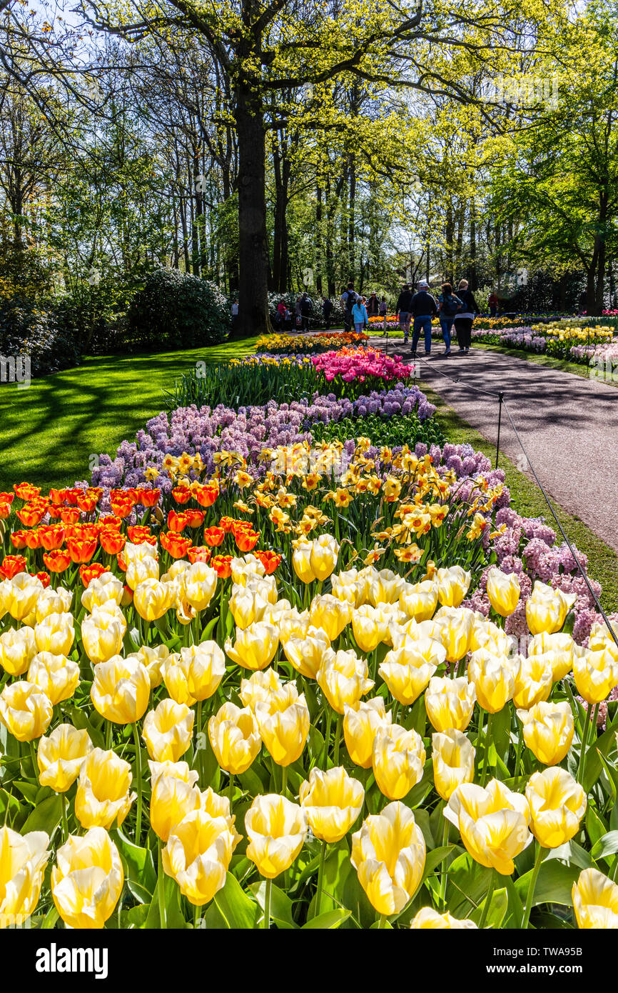 Spring bloom display hi-res stock photography and images - Alamy