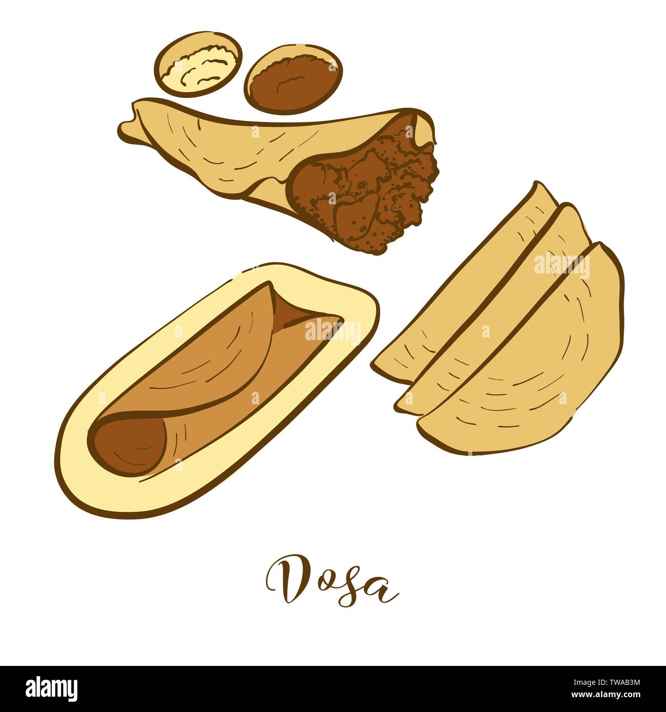Colored sketches of Dosa bread. Vector drawing of Pancake food, usually ...