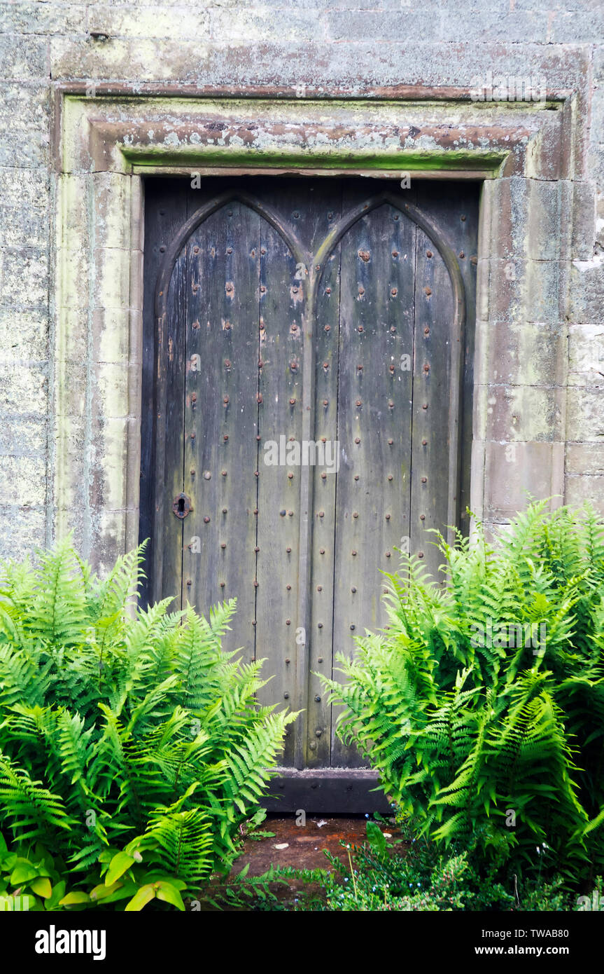 Wooden door into a garden hi-res stock photography and images - Alamy