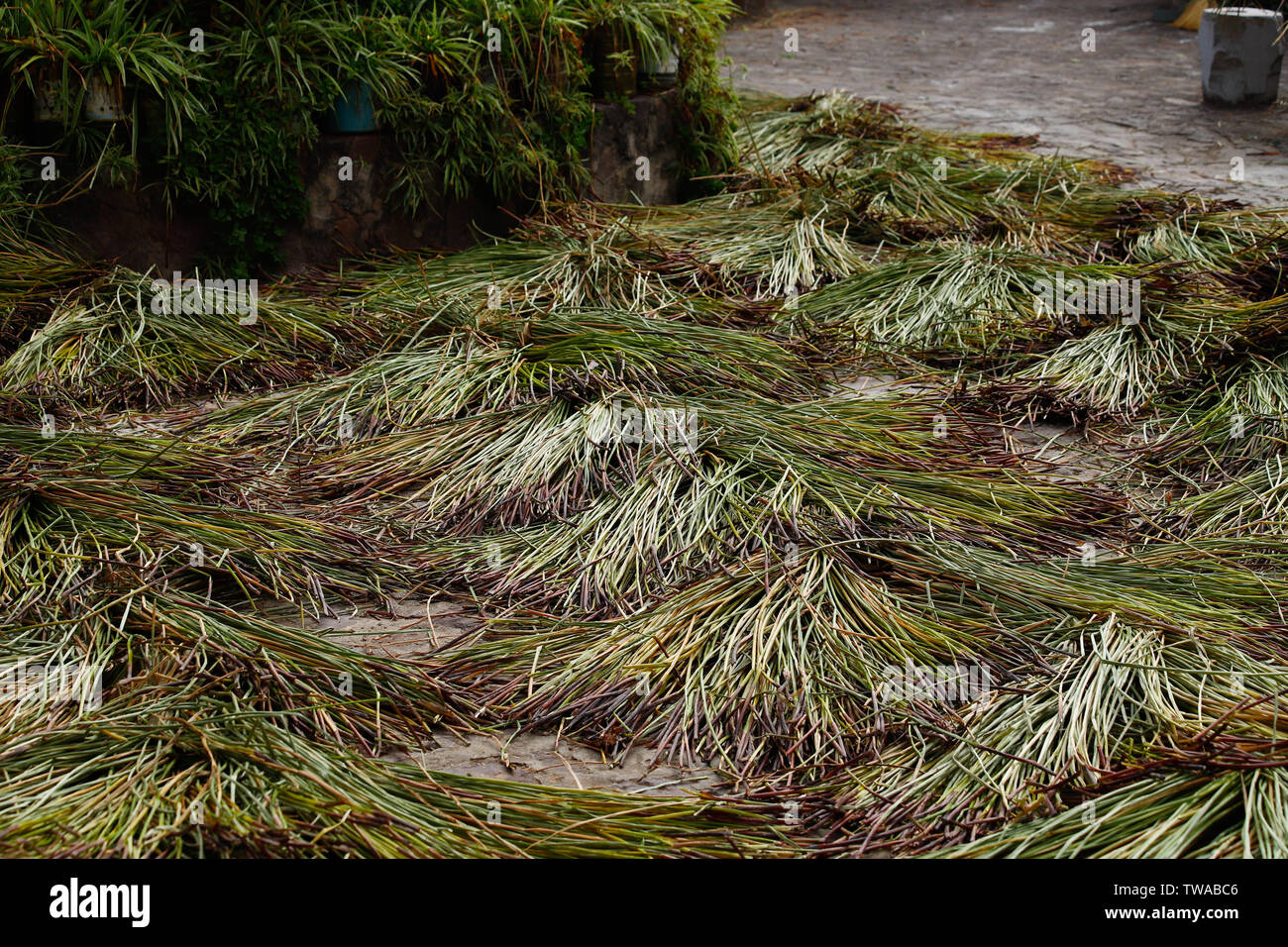 Tuanshan Old Village High Resolution Stock Photography and Images - Alamy