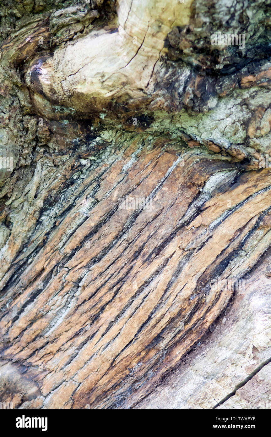 Lumps of wood hi-res stock photography and images - Alamy