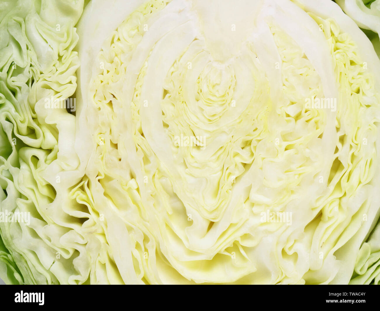 Cut green cabbage hi-res stock photography and images - Alamy