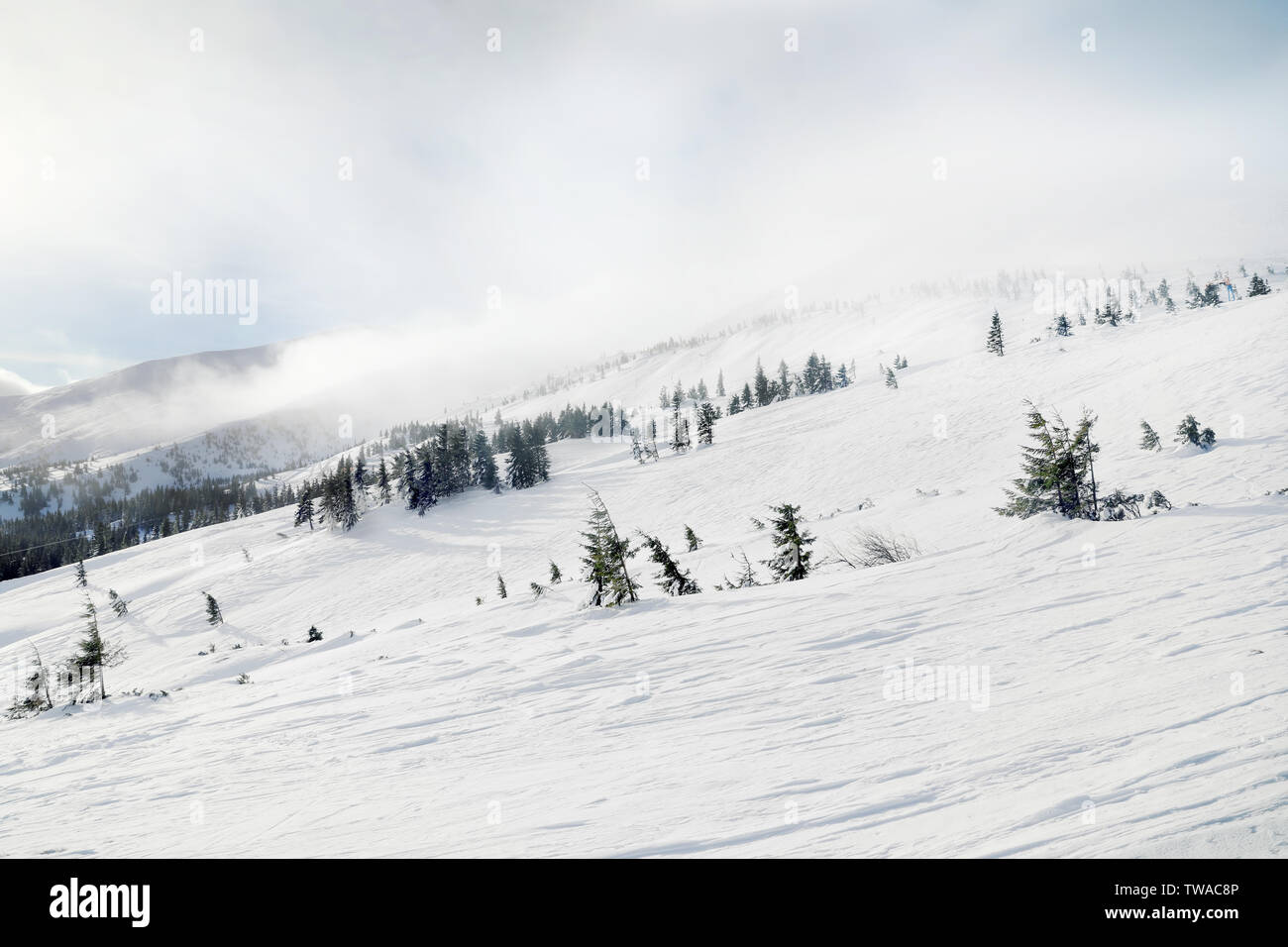 Ski slope at snowy resort on winter day Stock Photo - Alamy