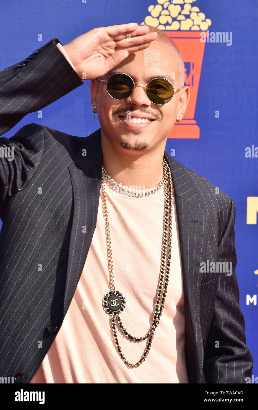 SANTA MONICA, CA - JUNE 15: Evan Ross attends the 2019 MTV Movie and TV ...