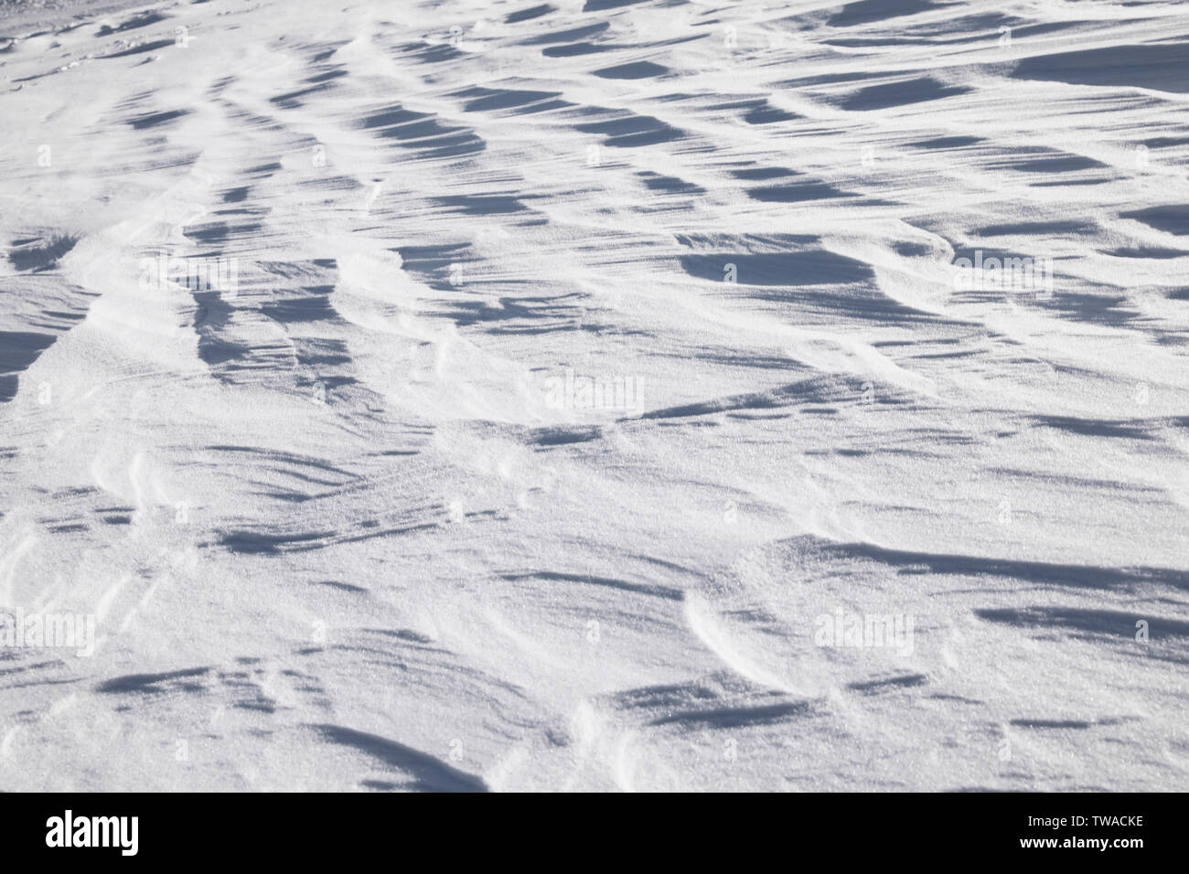 Shiny clean snow in wintertime Stock Photo - Alamy