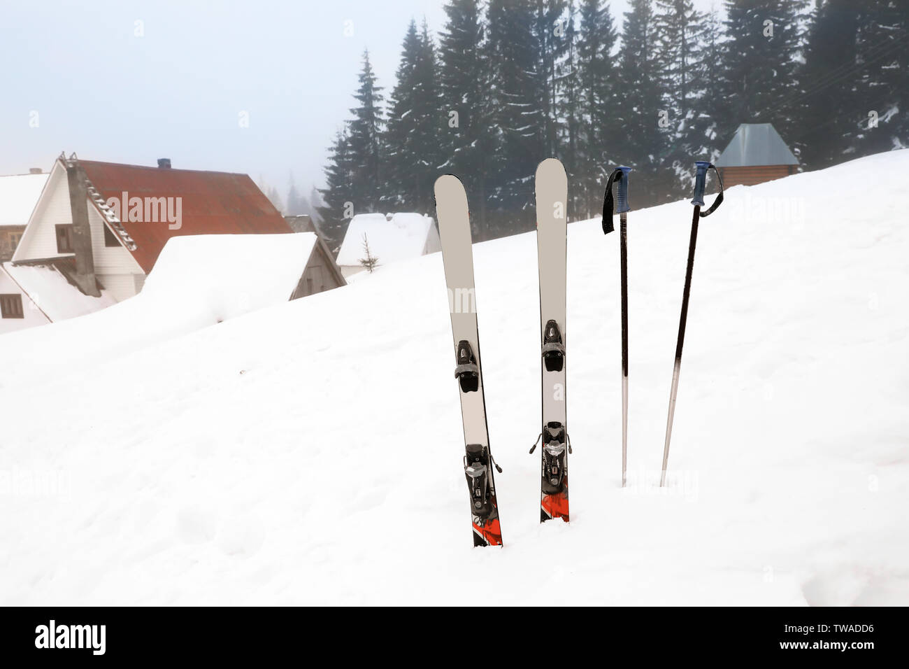 Piste poles hi-res stock photography and images - Alamy