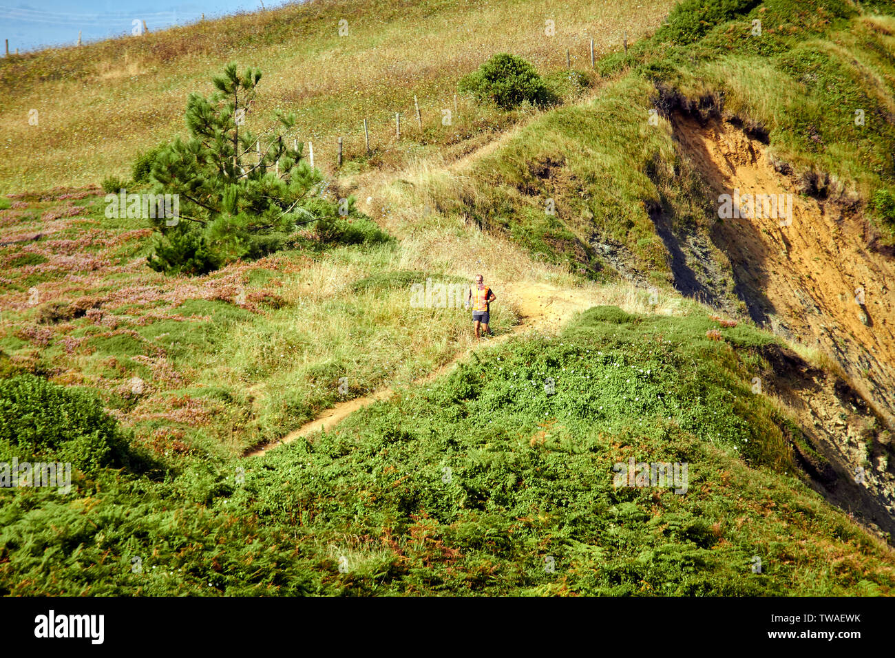Male trail running in nature hi-res stock photography and images - Alamy