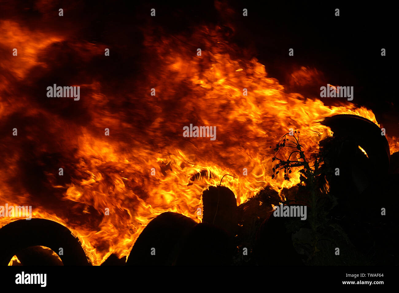 Tyers High Resolution Stock Photography and Images - Alamy