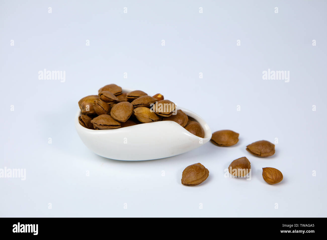 Open little Ginkgo biloba Stock Photo - Alamy