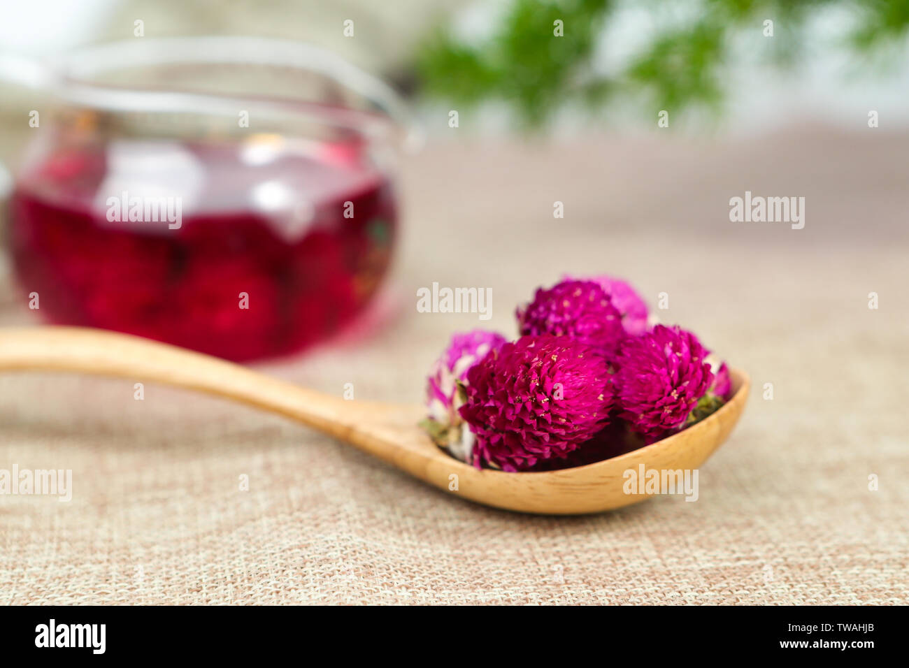 Thousand-day red flower tea Stock Photo - Alamy