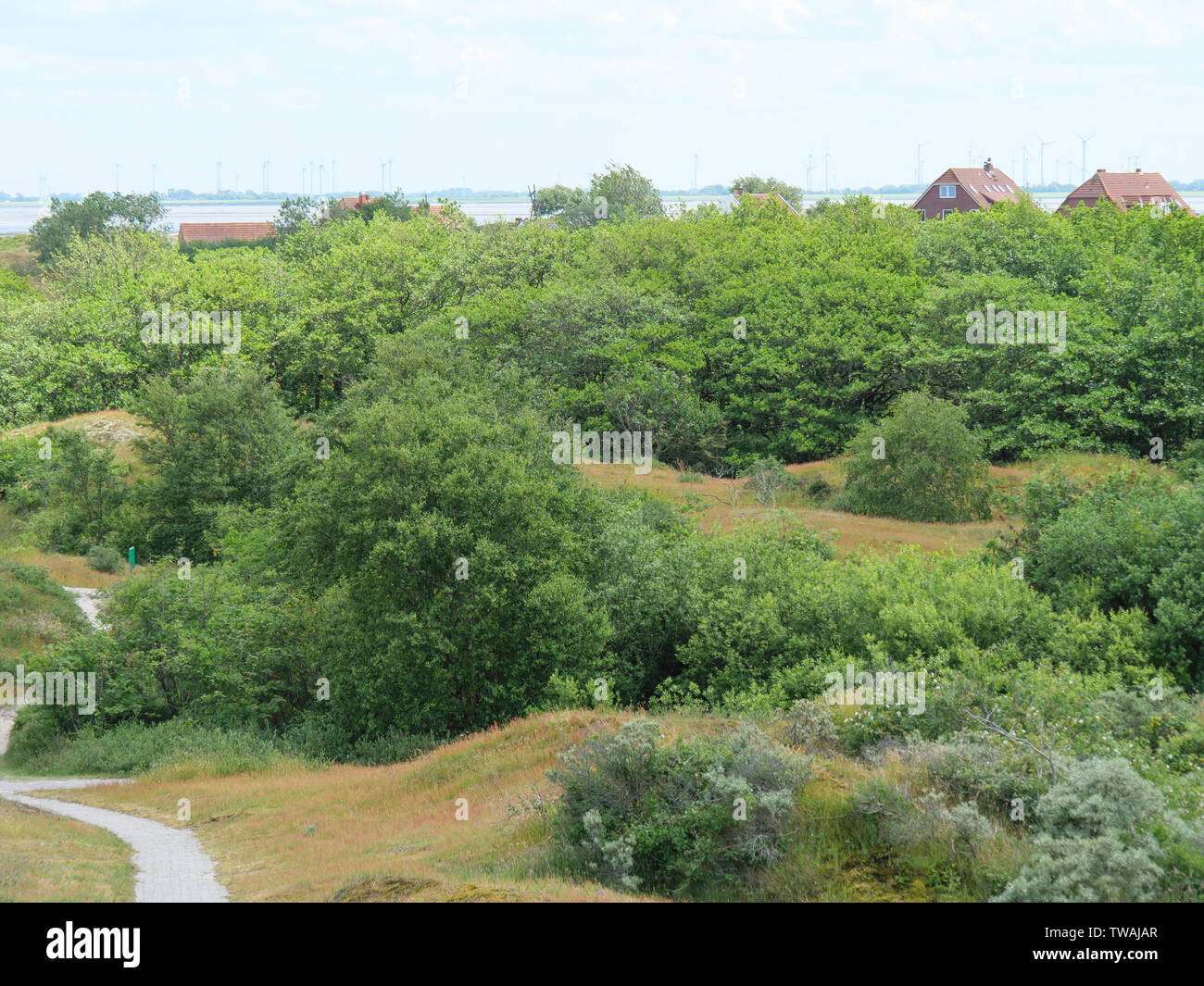 baltrum in the North sea Stock Photo - Alamy