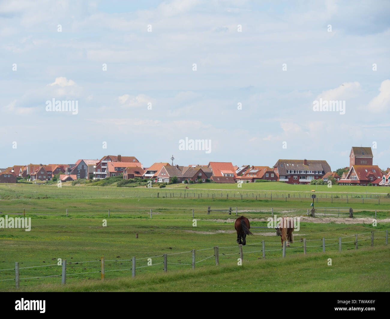 the island of baltrum Stock Photo - Alamy