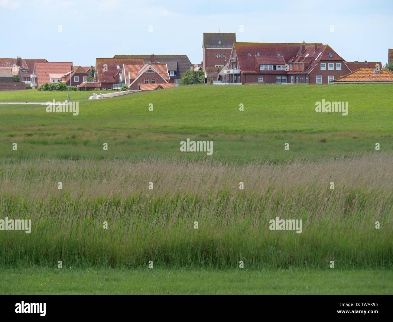 the island of baltrum Stock Photo - Alamy