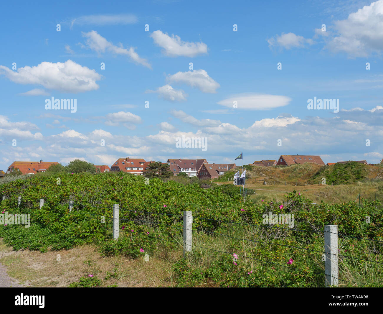 the island of baltrum Stock Photo - Alamy