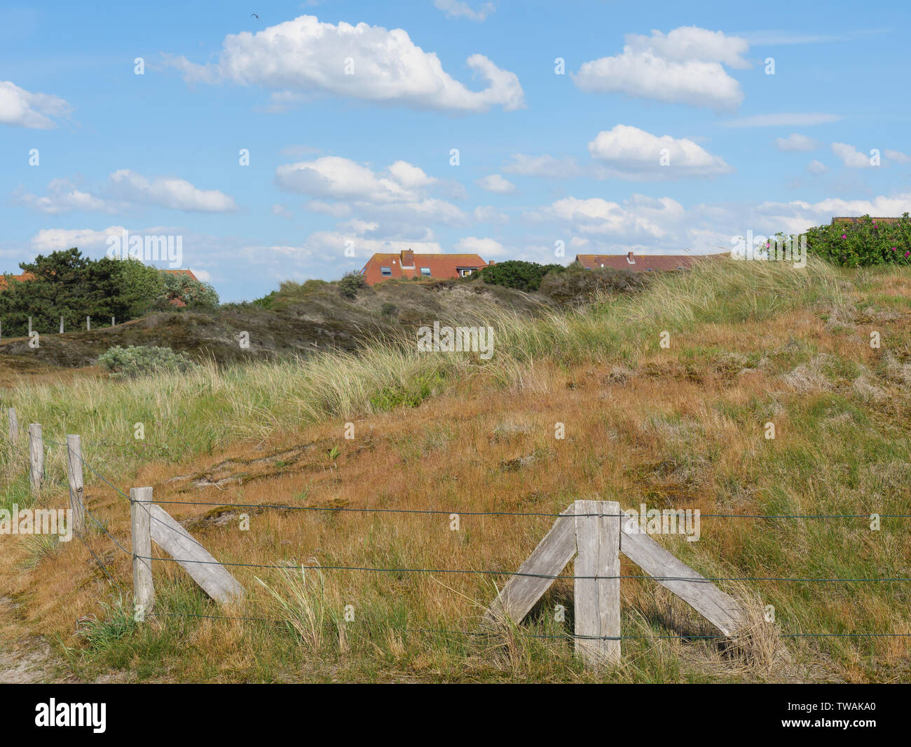 the island of baltrum Stock Photo - Alamy