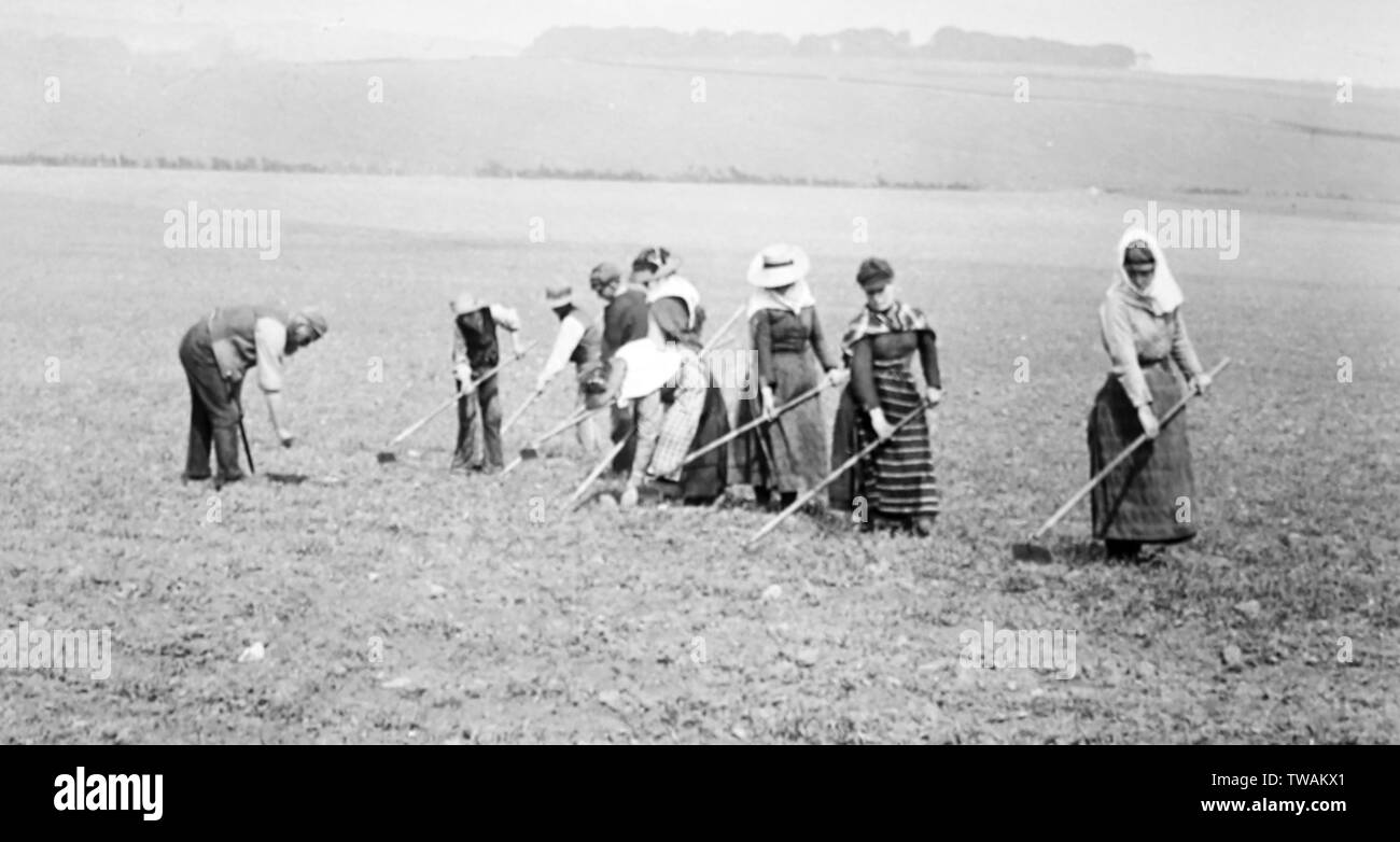 Farming in Scotland Stock Photo - Alamy