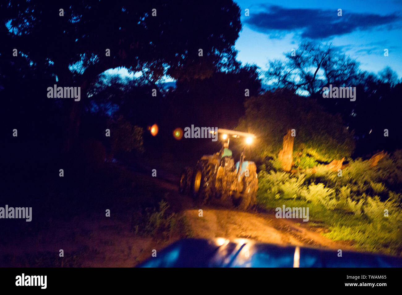 Africa, Zimbabwe, animals, nature pristine, Zambezi river, panorama ...