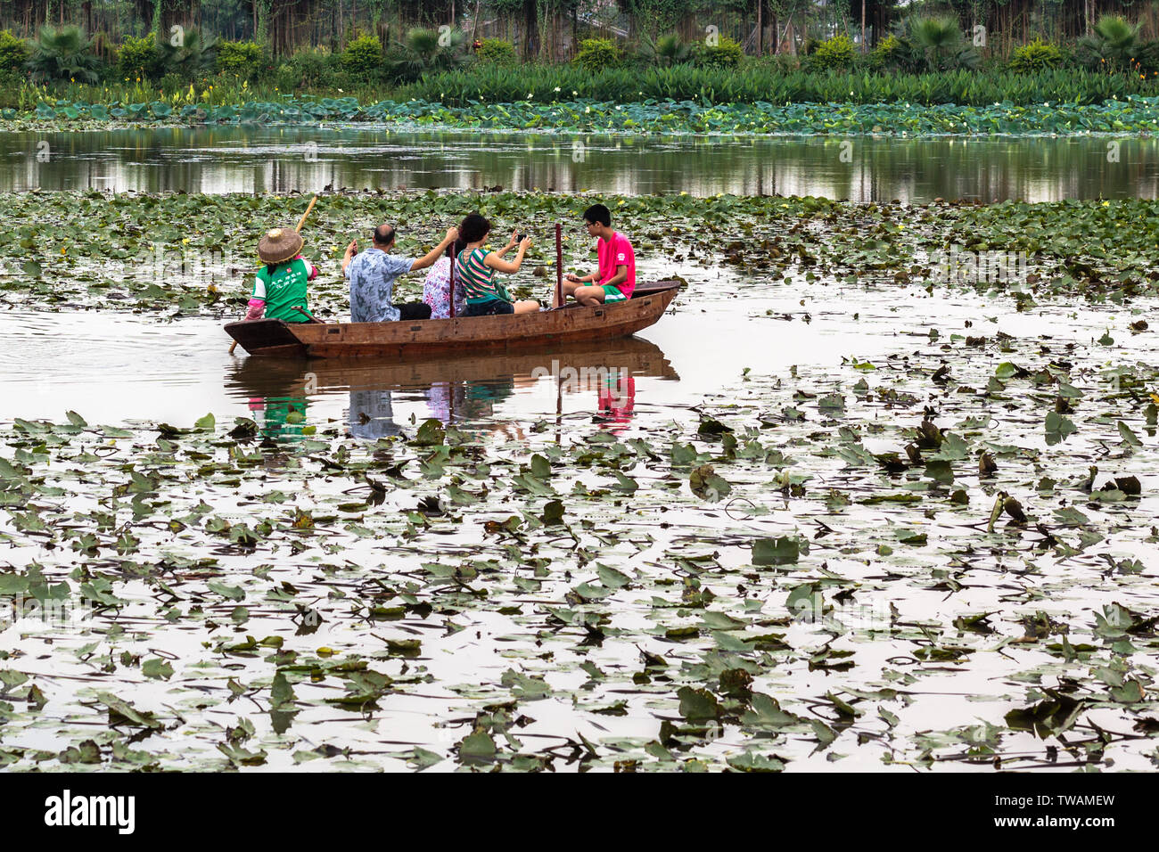Guangzhou panyu hi-res stock photography and images - Alamy