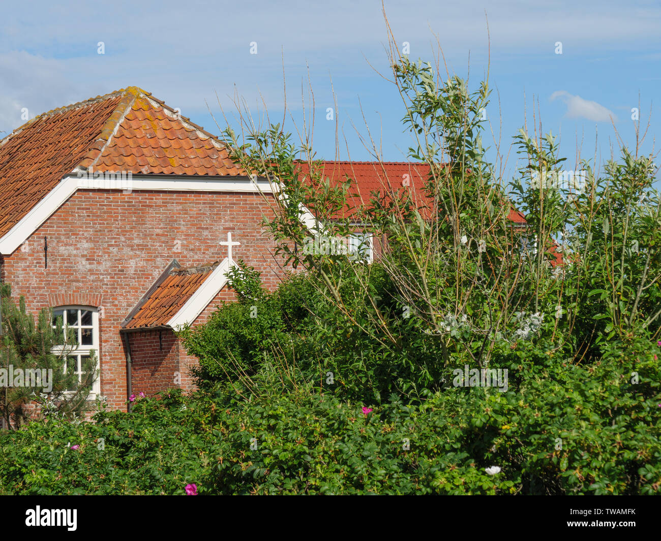 island of baltrum Stock Photo - Alamy