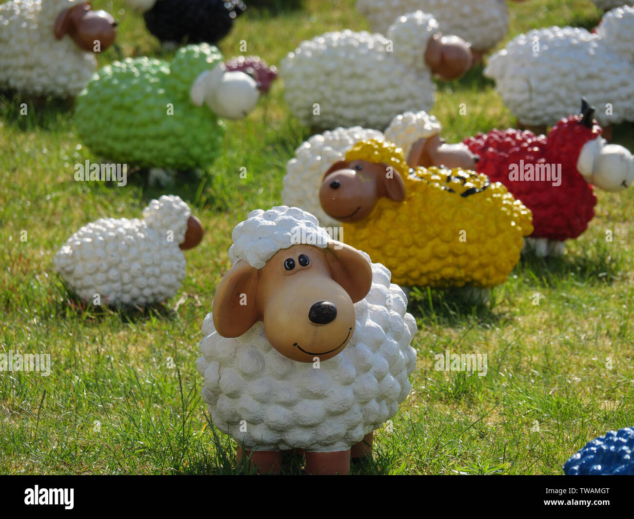 island of baltrum Stock Photo - Alamy