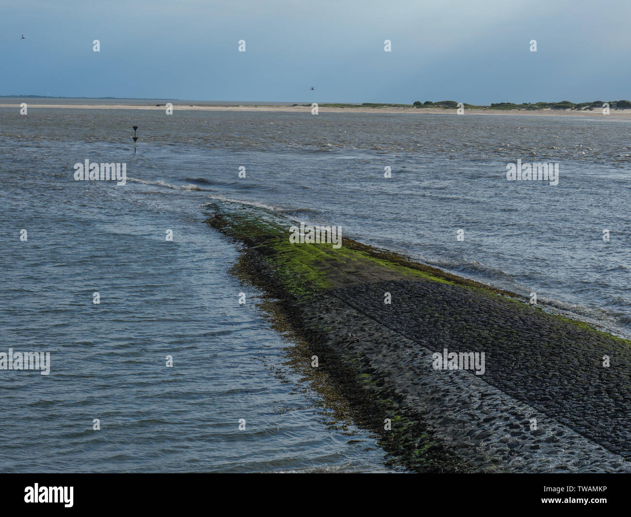 island of baltrum Stock Photo - Alamy