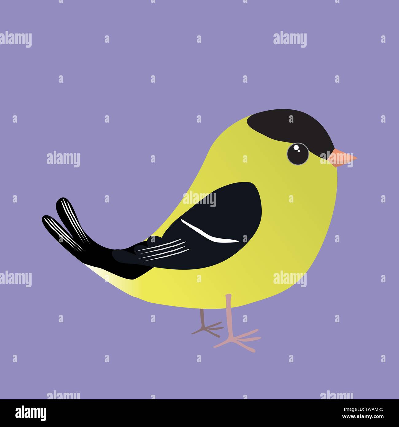 Pretty finch Stock Vector Images - Alamy
