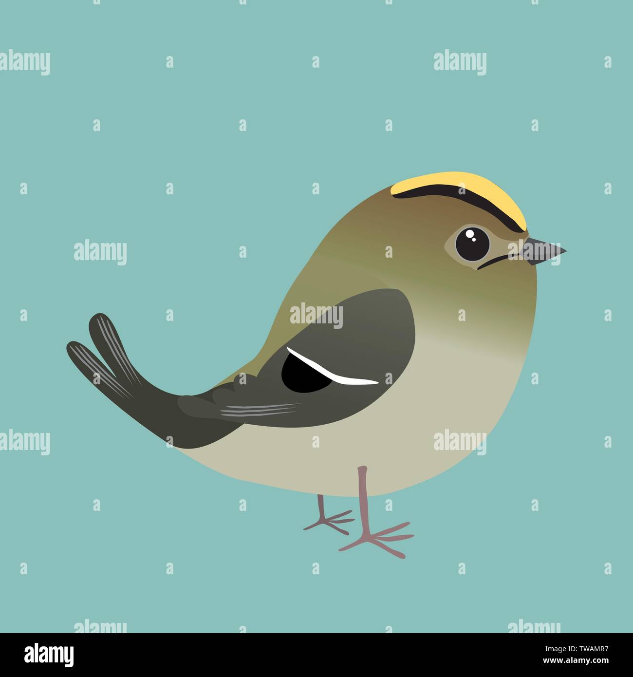 Plumage pretty Stock Vector Images - Alamy