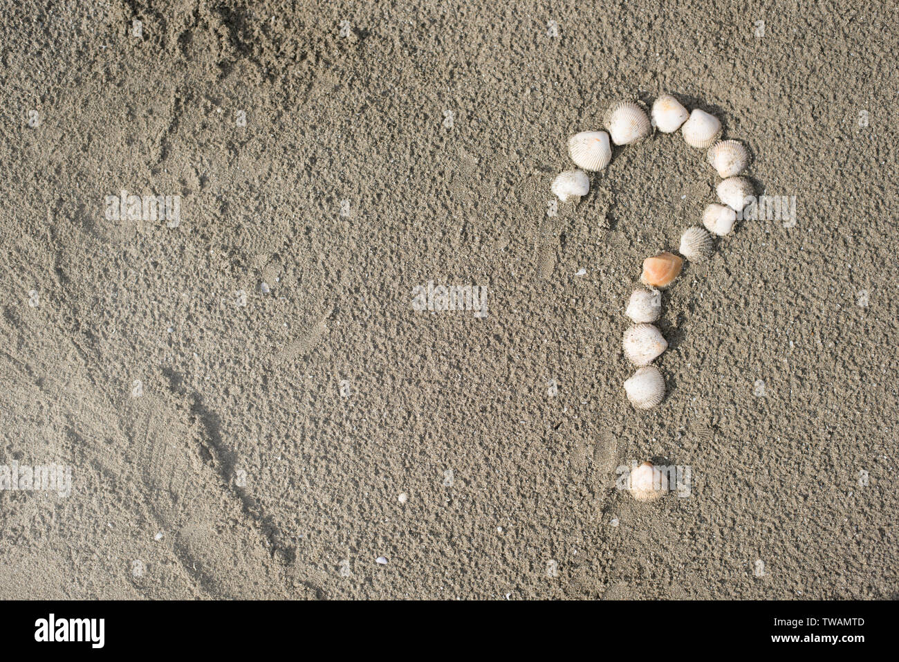 sea shells forming a question mark on a sandy beach. Concept of faq ...